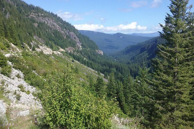 Mt Rainier Private Tour Experience in SUV - Authentic Experiences and Authentic Guides