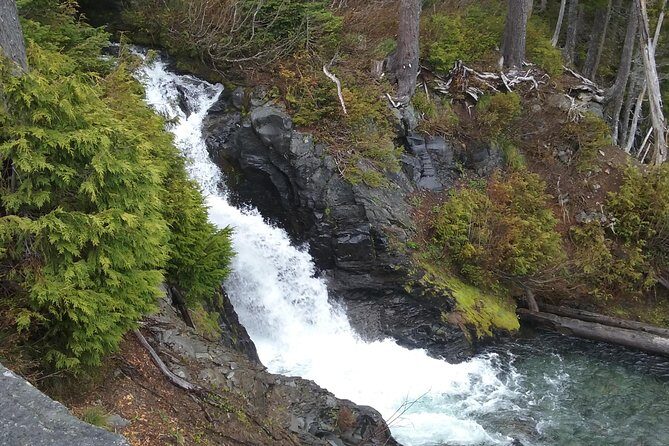 Mt Rainier Private Tour Experience in SUV - Who Will Love This Tour?