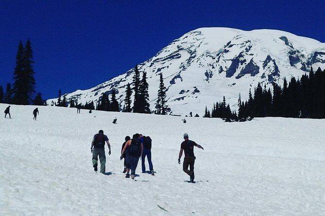 Mt Rainier Private Tour Experience in SUV - FAQs