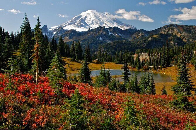 Mt. Rainier Tour and Guided Hike - Key Points