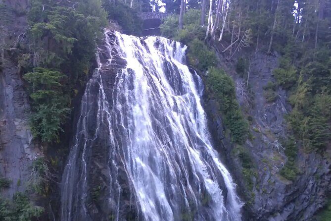 Mt. Rainier Tour and Guided Hike - Ideal for Whom?