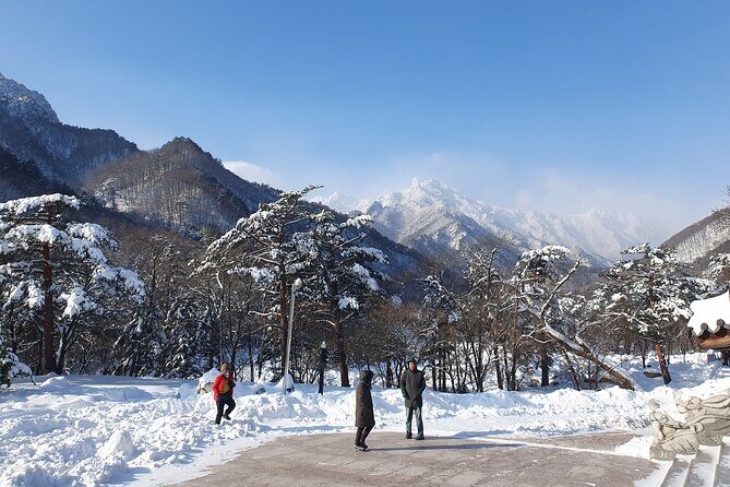 Mt. Seorak and Nami Island and Eobi Ice Valley from Seoul - FAQ