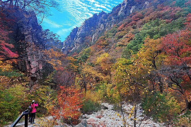 Mt. Seorak+Nami Island+Garden of Morning Calm Day Trip from Seoul - Key Points