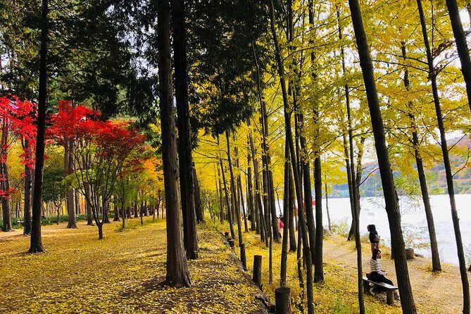 Mt. Seorak+Nami Island+Garden of Morning Calm Day Trip from Seoul - FAQ