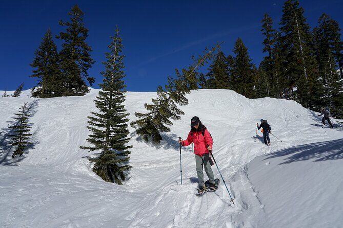 Mt. Shasta Snowshoeing Tours - What Is the Mt. Shasta Snowshoeing Tours About?