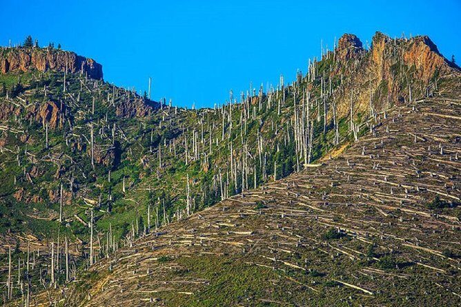 Mt. St. Helens National Monument from Seattle: All-Inclusive Small-Group Tour - Pricing and Overall Value