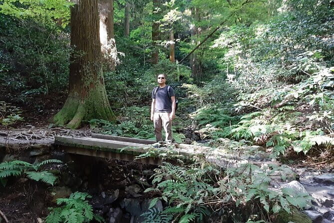 Mt. Takao with Hot Spring Private Tour - Who Is This Tour Best For?
