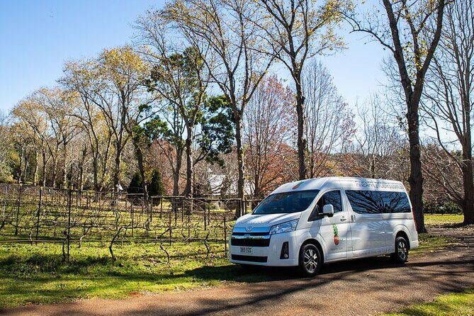 Mt Tamborine Shuttle Service - Gold Coast Return Transfer - Analyzing the Value