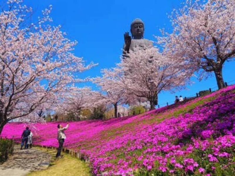 Mt Tsukuba Amazing Day Tour - Key Points