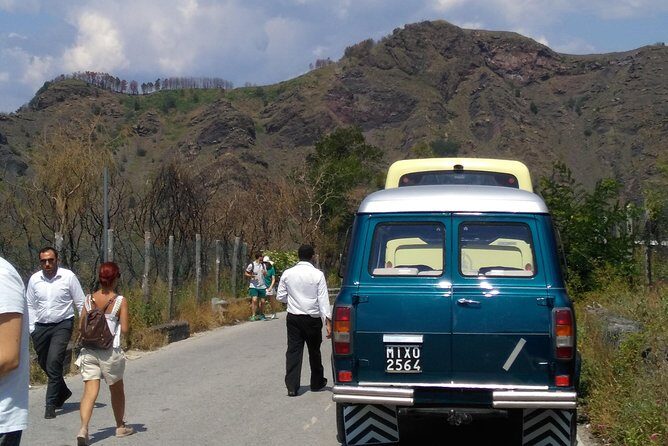 Mt. Vesuvius (Tour+Transfer) - Who Should Book This Tour?
