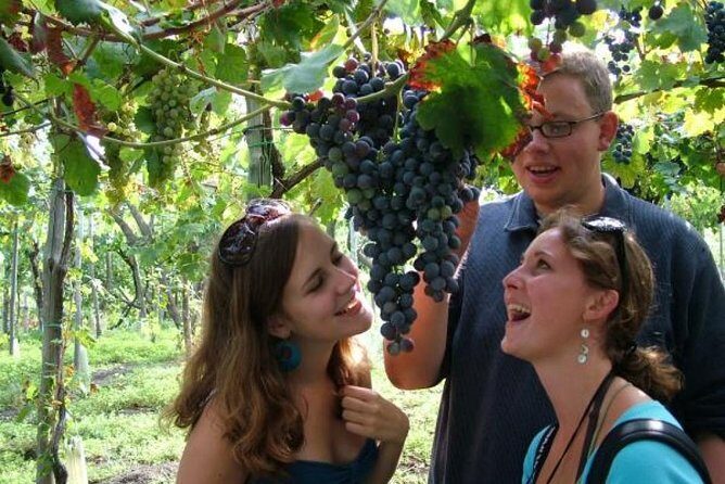 Mt. Vesuvius Wine Tasting and Lunch Experience from Pompeii - Frequently Asked Questions