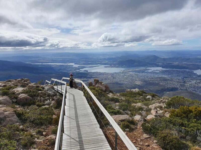 Mt Wellington Afternoon Small Group Driving Tour - Overview of the Experience