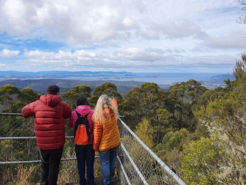 Mt Wellington Afternoon Small Group Driving Tour - The Value of the Tour