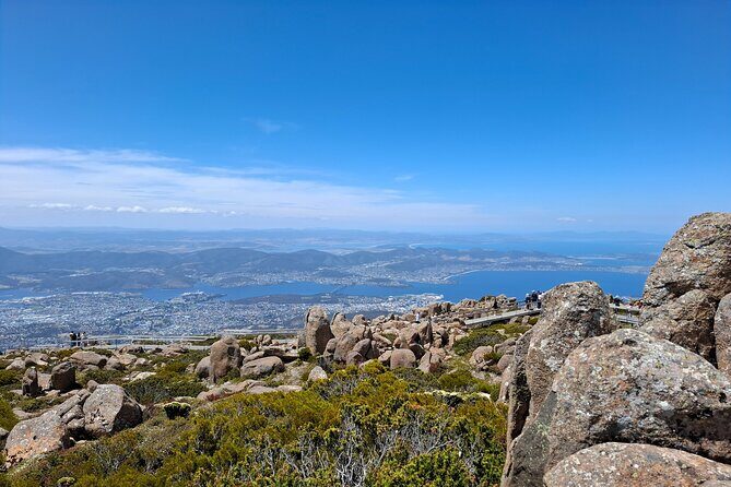 Mt Wellington Hobart Shore Excursion - The Experience in Detail: What to Expect