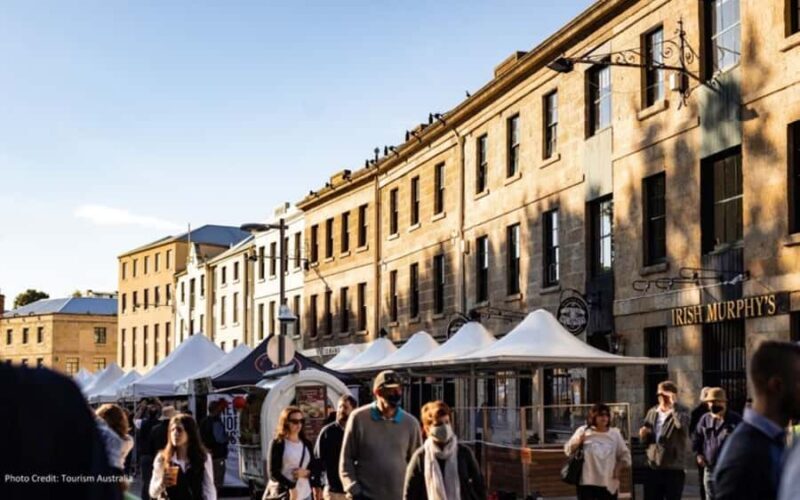 Mt Wellington & Hobart: Shore Excursion (Private Tour) - Accessibility and Additional Features