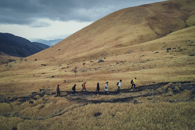 Mt. Yufu Grassland Private Hiking and Lunch - A Closer Look at the Tour Experience