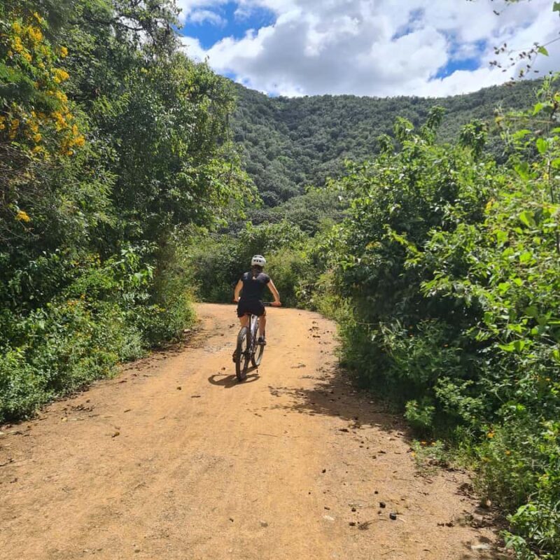 MTB Bike tour to the Monkey Tree + Bread Maker & Tule tree - Key Points