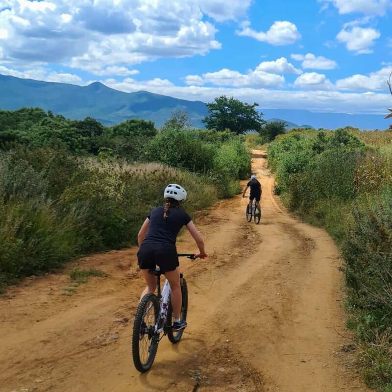 MTB Bike tour to the Monkey Tree + Bread Maker & Tule tree - An Authentic Ride through Oaxaca’s Countryside