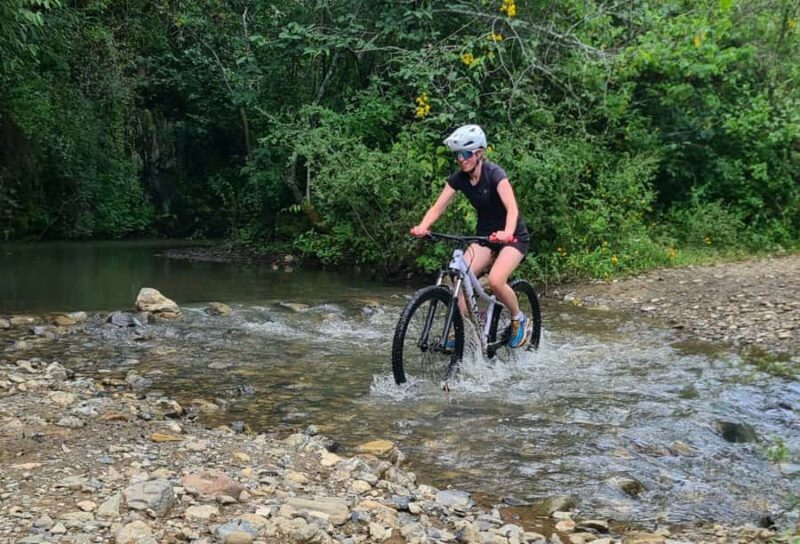 MTB Bike tour to the Monkey Tree + Bread Maker & Tule tree - Practicalities and What to Expect