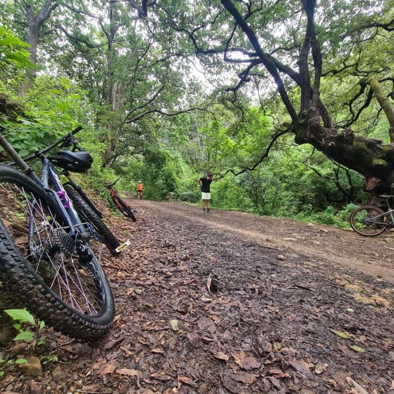 MTB Bike tour to the Monkey Tree + Bread Maker & Tule tree - The Itinerary Breakdown