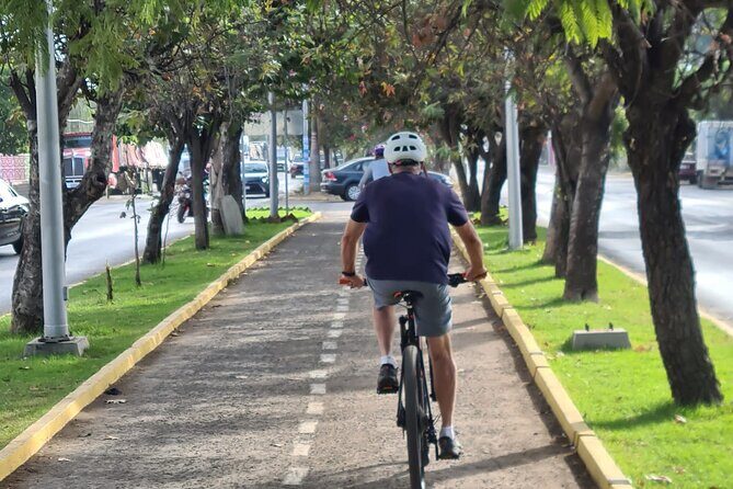 MTB Bike Tour: Tree of the Tule on mountain trails - A Detailed Look at the MTB Tour