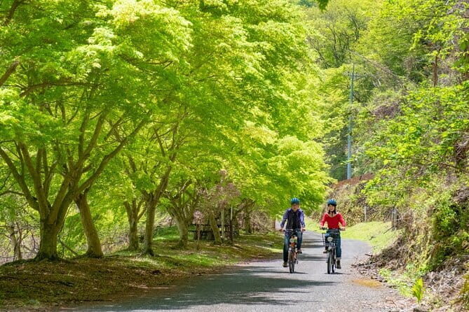 MTB, Hybrid or Gravel Road Bike Rental in Okutama, Tokyo - The Sum Up: Is It Worth It?