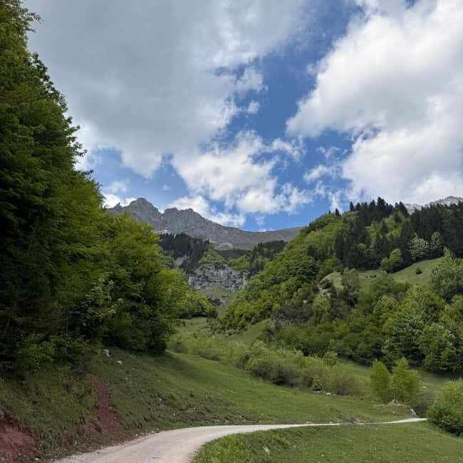 Mtb tours Innsbruck (experience the most beautiful trails in Innsbruck) - Is This Tour Worth the Cost?