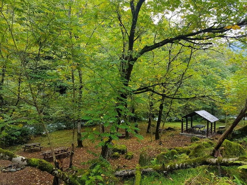 Mtirala National Park 2-Day Guided Hiking Tour from Kutaisi - Key Points