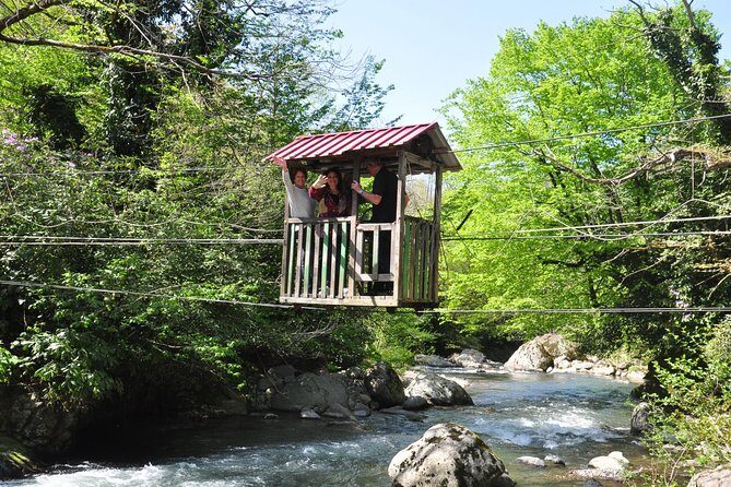 Mtirala National Park Tour - Exploring the Natural Beauty of Georgia: The Mtirala National Park Tour