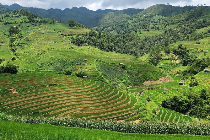 Mu Cang Chai Full Day Trekking Tour - FAQs