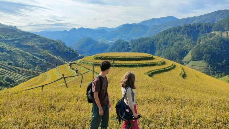 Mu Cang Chai: Highlights 3-hour Guided Hiking Trip - Key Points