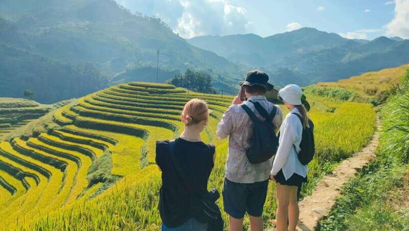 Mu Cang Chai: Highlights 3-hour Guided Hiking Trip - Detailed Review of the Guided 3-Hour Hike