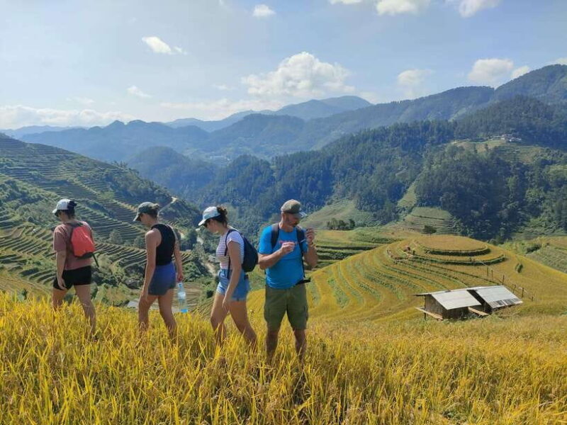 Mu Cang Chai: Highlights 3-hour Guided Hiking Trip - Final Words