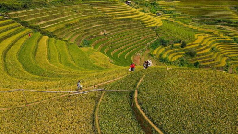 Mu Cang Chai: Motorbike Adventure with Waterfalls & Villages - An Authentic Ride Through Mu Cang Chai’s Landscapes