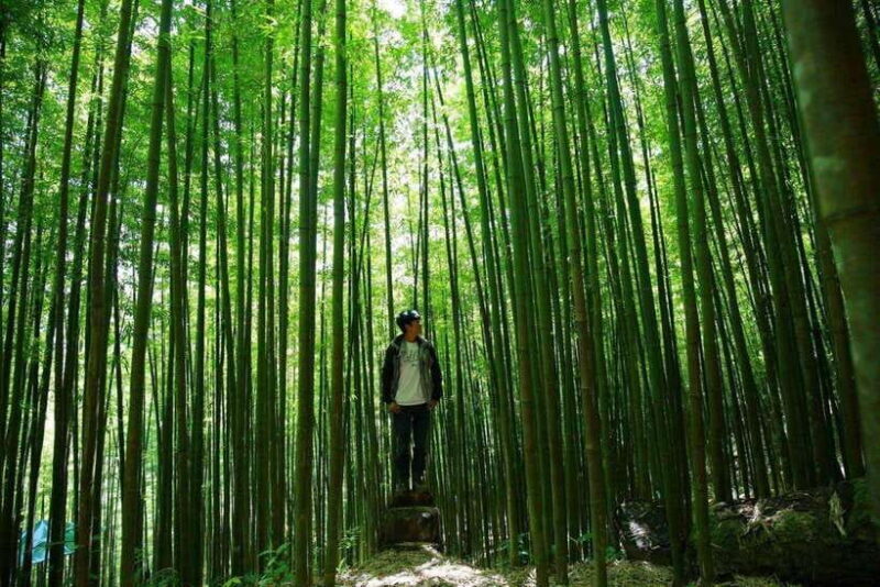 Mu Cang Chai: Motorbike Adventure with Waterfalls & Villages - Practical Considerations and What’s Included