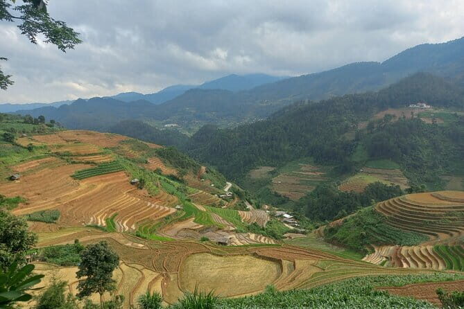 Mu Cang Chai One Day Trekking Tour With Local Guide - Key Points