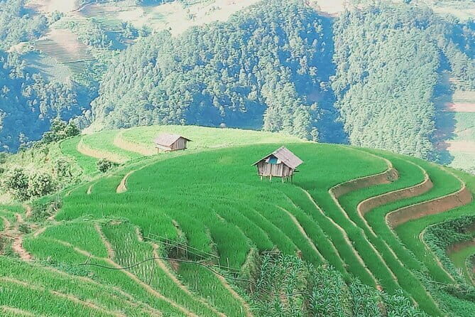 Mu Cang Chai One Day Trekking Tour With Local Guide - A Full Breakdown of the Experience
