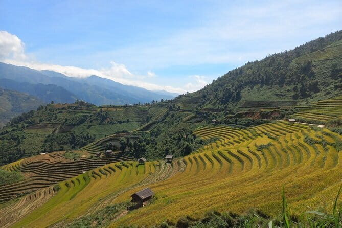 Mu Cang Chai One Day Trekking Tour With Local Guide - Practical Details and Tips