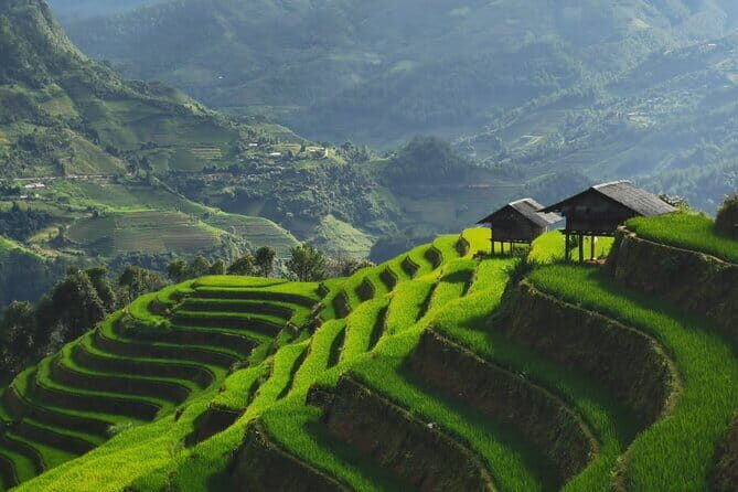 Mu Cang Chai One Day Trekking Tour With Local Guide - Final Thoughts
