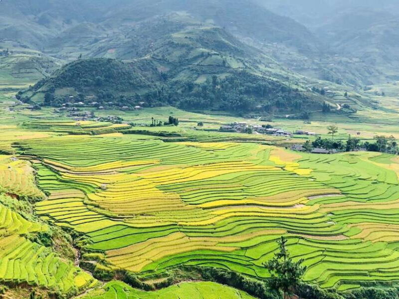 Mu Cang Chai: Private Car 1 day Tour with Local Guide - Authentic Experiences and What They Mean for You