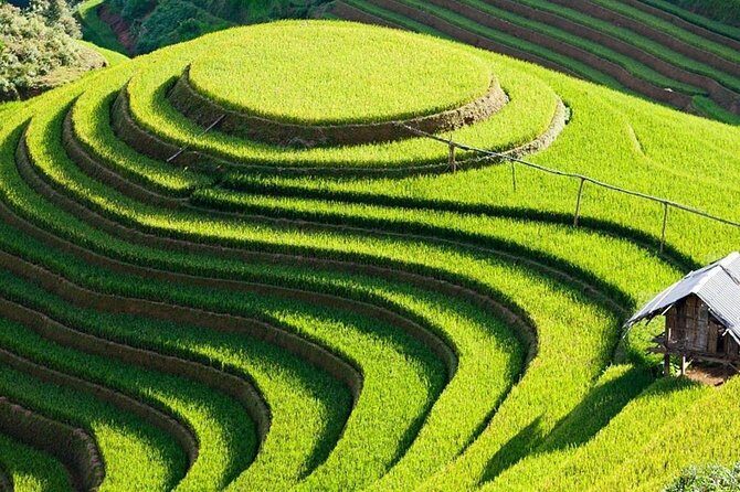 Mu Cang Chai trekking 4 days 3 nights - Why Choose This Tour? An In-Depth Look