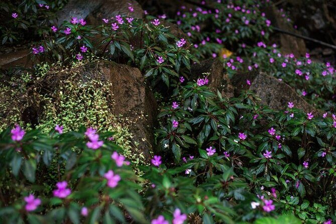 Mua Bay Binh Thuan 11 Miles Trekk From Sai Gon - In The Sum Up: Who Is This Tour For?