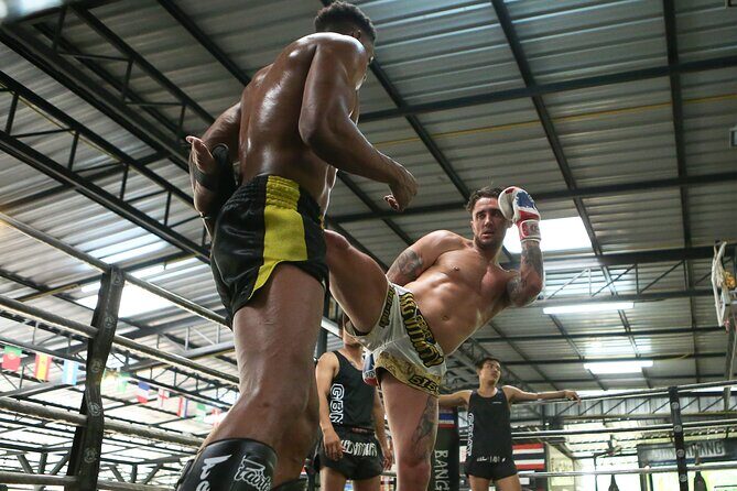 Muay Thai Experience - 1/2 Day - The Value of this Experience