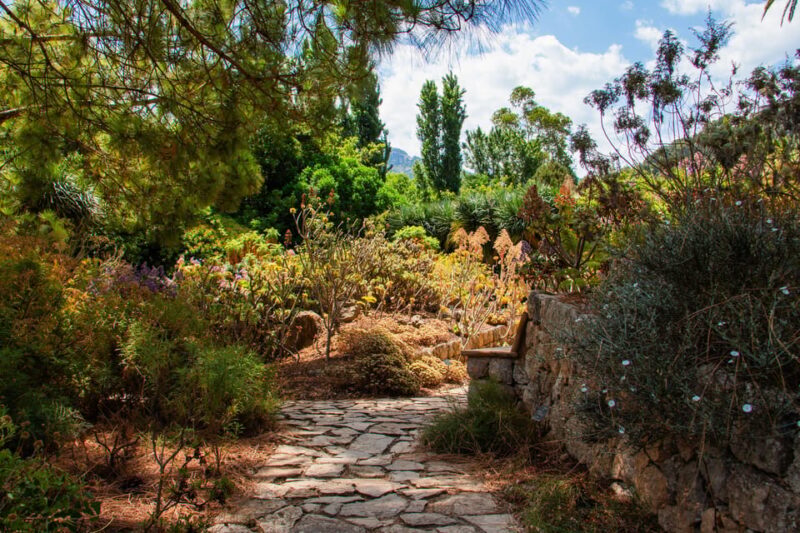 MUCBO | Jardí Botànic de Sóller - Balearic Museum of Natural Sciences - Key Points