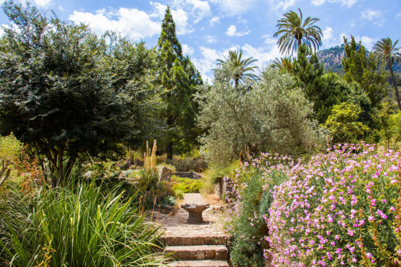MUCBO | Jardí Botànic de Sóller - Balearic Museum of Natural Sciences - The Value of Your Visit
