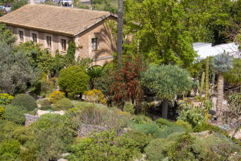 MUCBO | Jardí Botànic de Sóller - Balearic Museum of Natural Sciences - Who Will Enjoy This Experience?