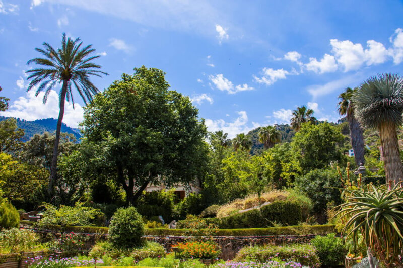 MUCBO | Jardí Botànic de Sóller - Balearic Museum of Natural Sciences - Final Thoughts
