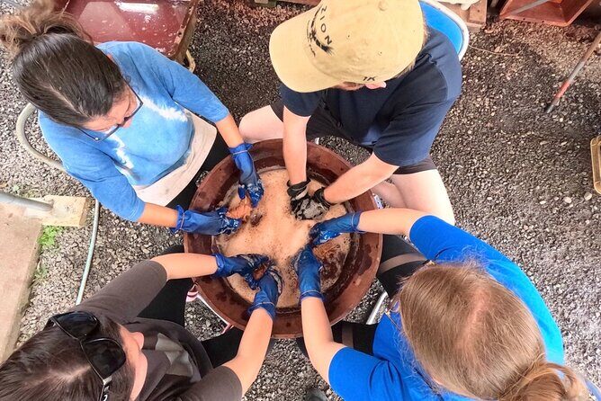 Mud Dyeing Workshop and Visit to Oshima Tsumugi Textile Factory - Who Will Love It?