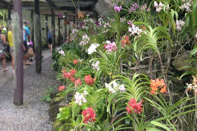 Mud Pools, Gardens, Markets, Temple & Shopping-Nadi Tour half day - FAQs
