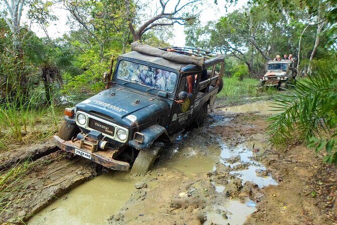 Mud Safari from Habarana - A Detailed Look at the Mud Safari Experience